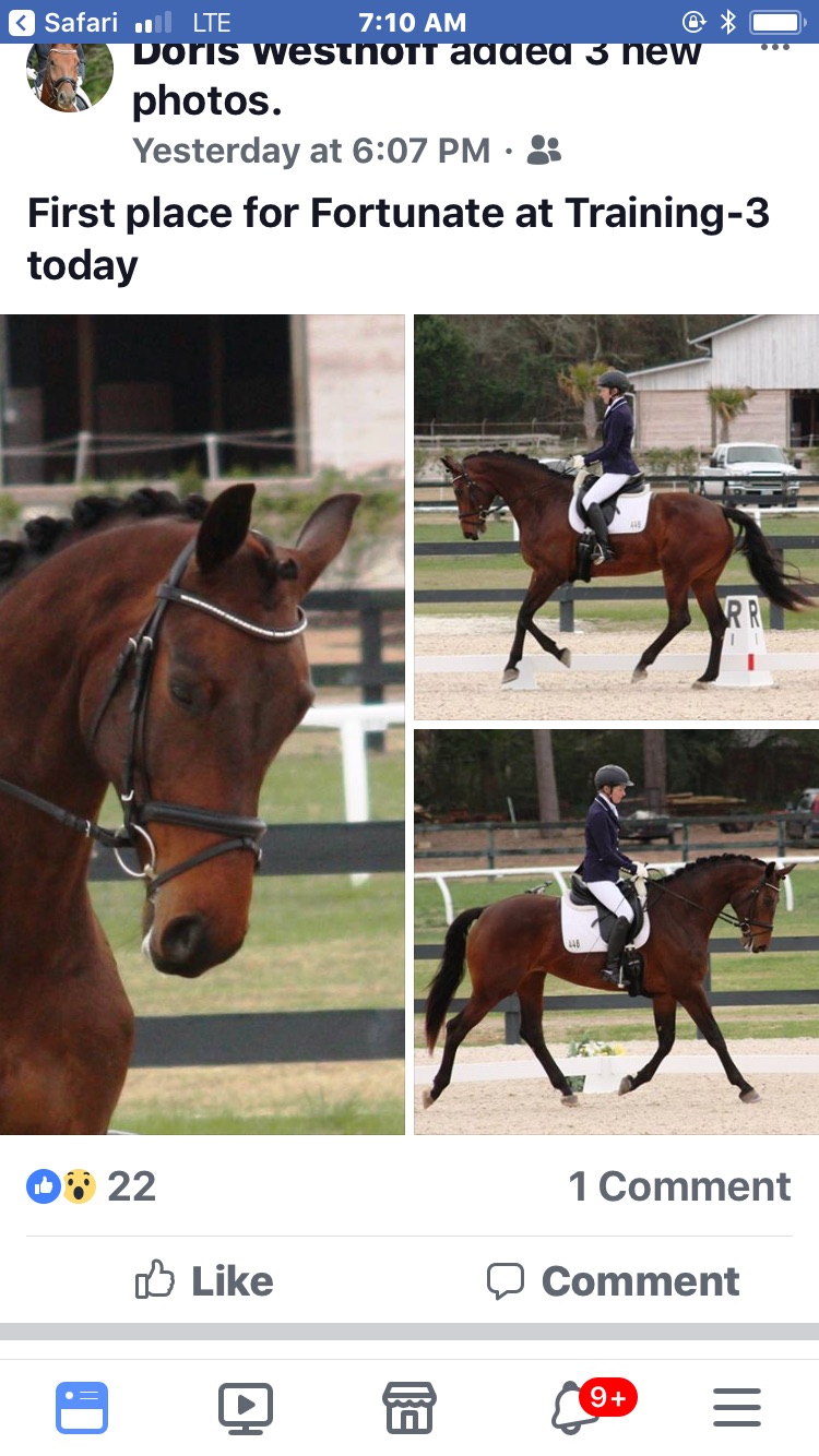 Image-1 (3) – Amy McElroy