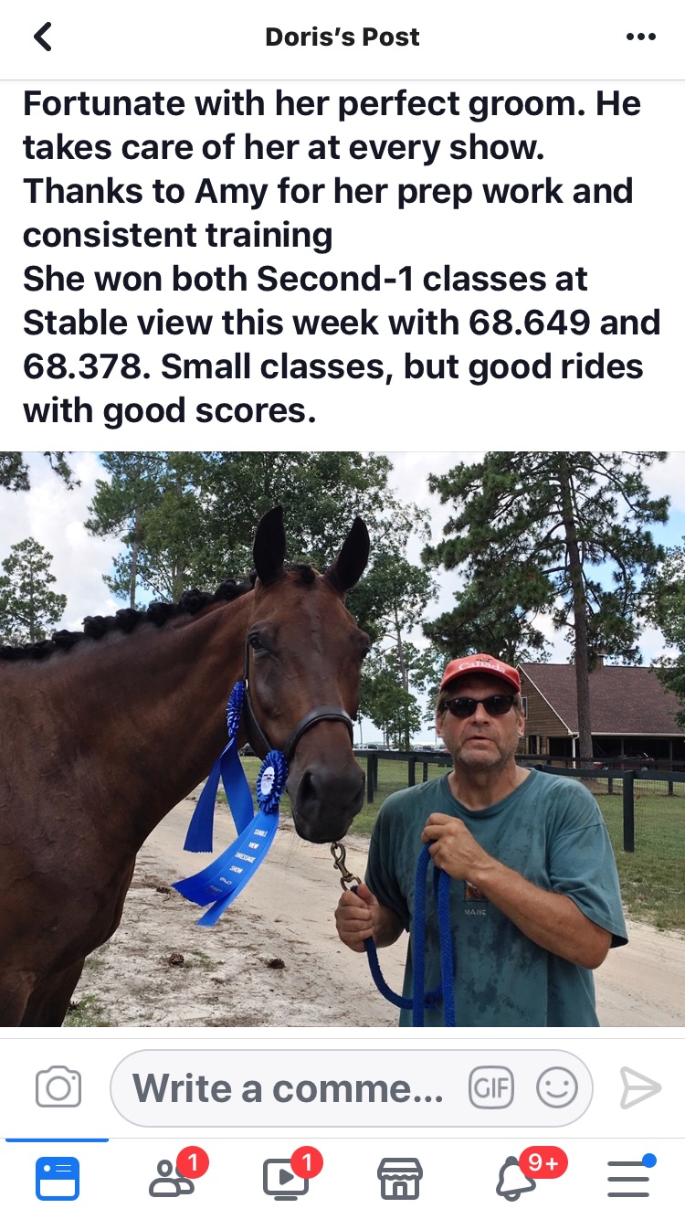 Summer Show Successes – Amy McElroy