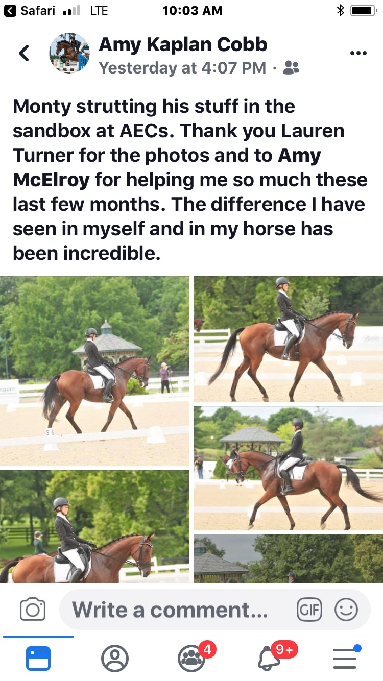 Summer Show Successes – Amy McElroy