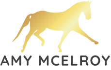 logomark – Amy McElroy