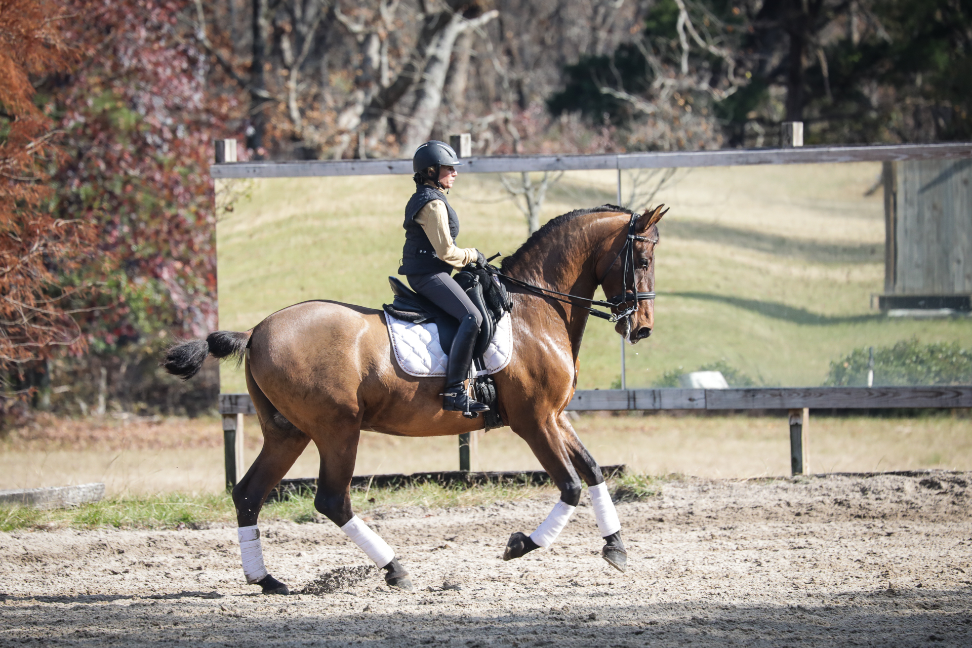 amymcelroy-0202-website – Amy McElroy