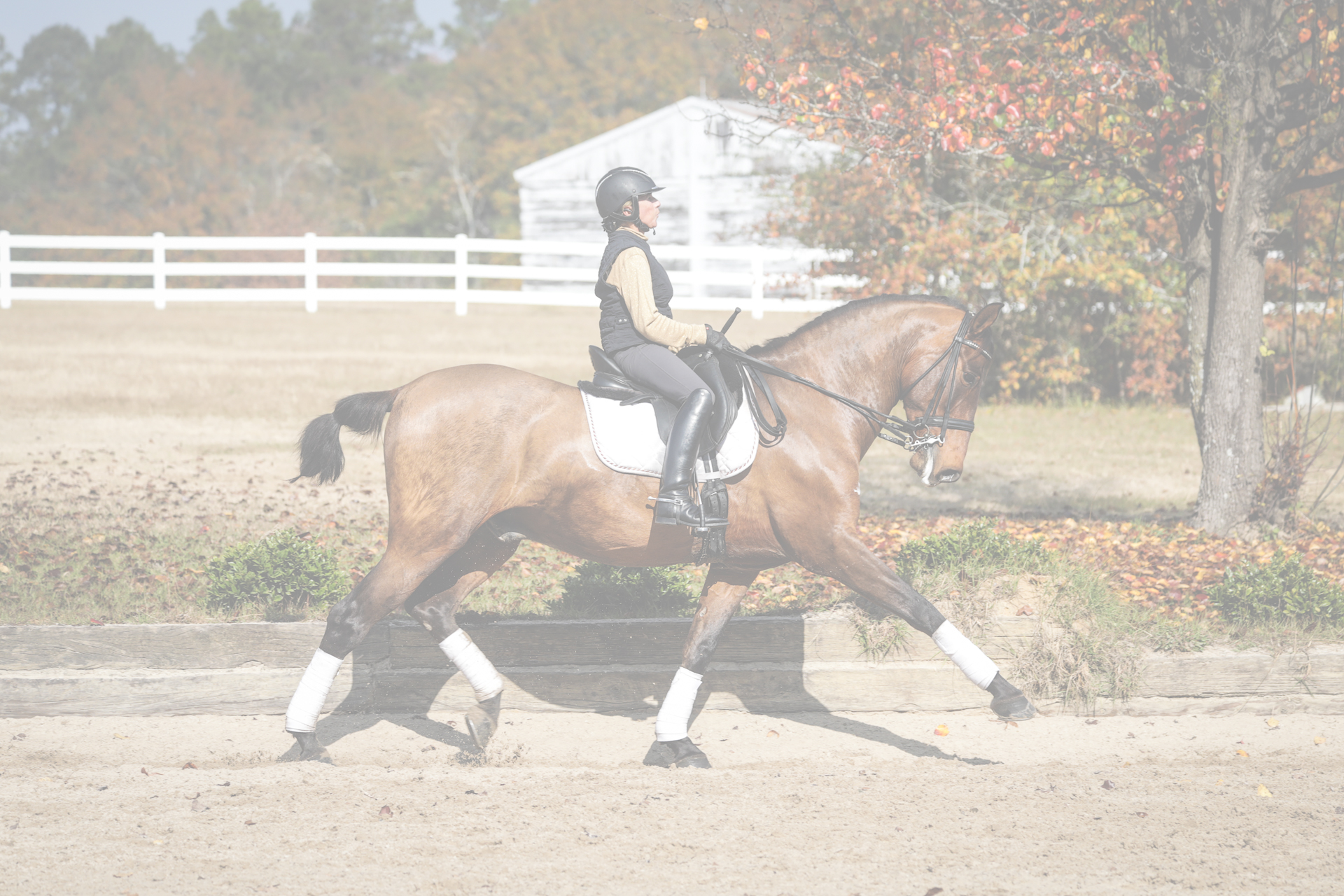 amymcelroy-0237-Edit-website – Amy McElroy